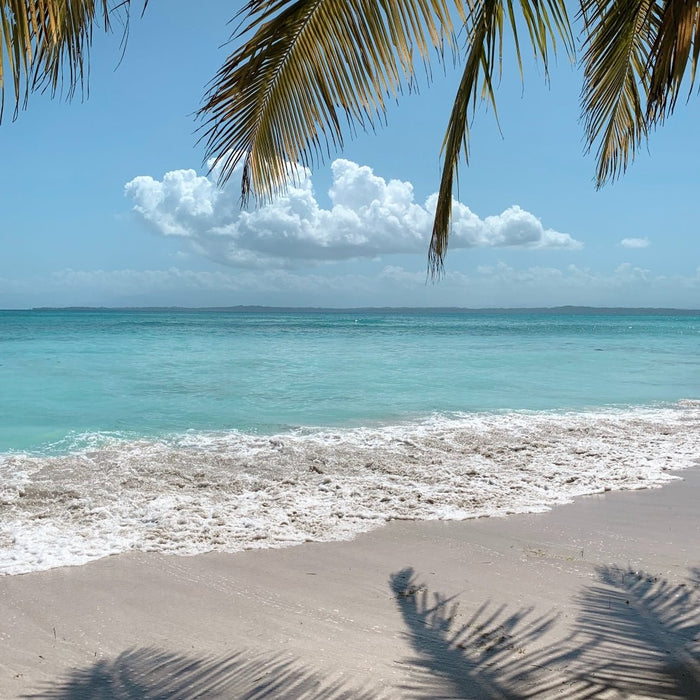 50 IDÉES DE BUCKET LIST POUR L'ÉTÉ